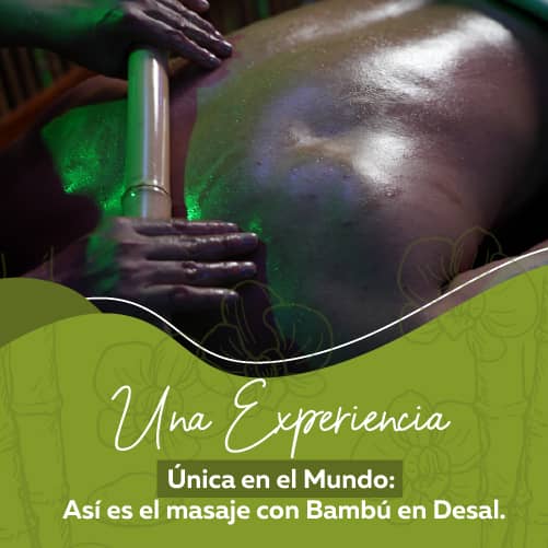 Una experiencia única en el mundo: así es el masaje con Bambú en Desal.